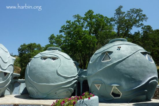 The Domes at Harbin Hot Springs | habitat bulles